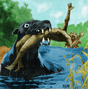 The Bunyip ~ The Crypto Crew