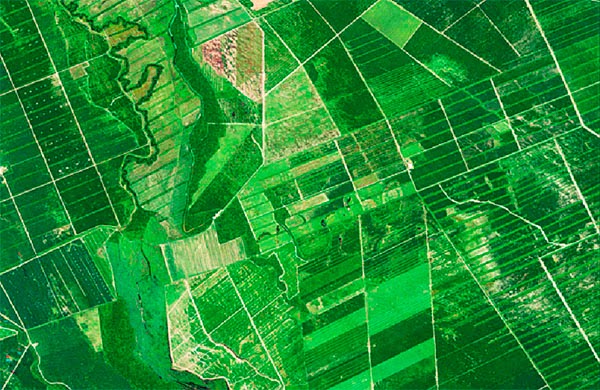 Monitoreo, imagen satelital para el agro | AGRONOMIA