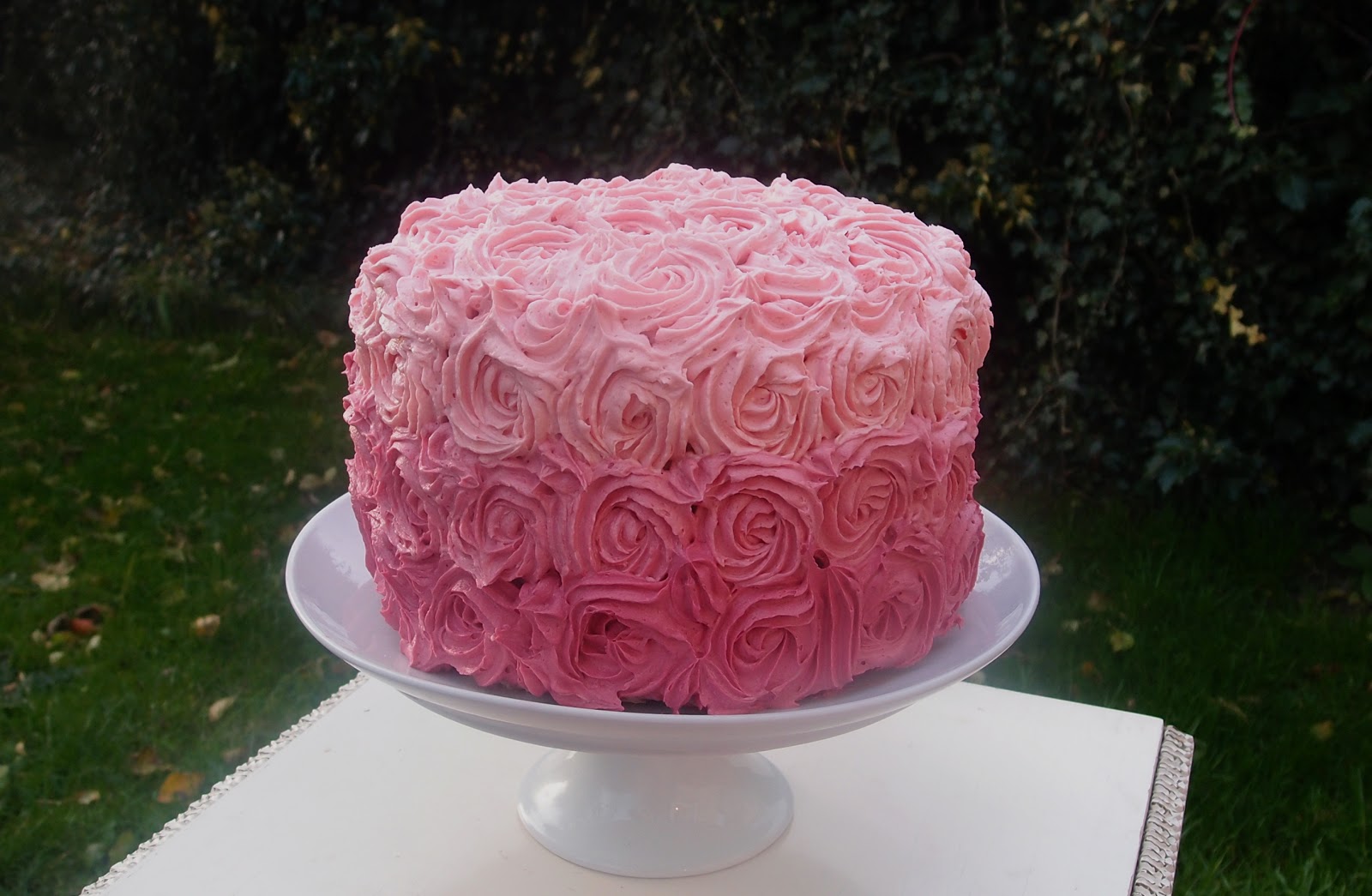 Hello Carla Magical Pink Ombre Layer Cake