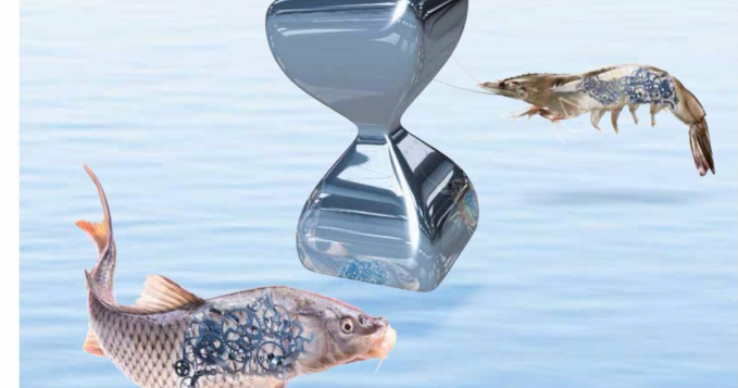 The Aquaculturists: Selisseo company profile