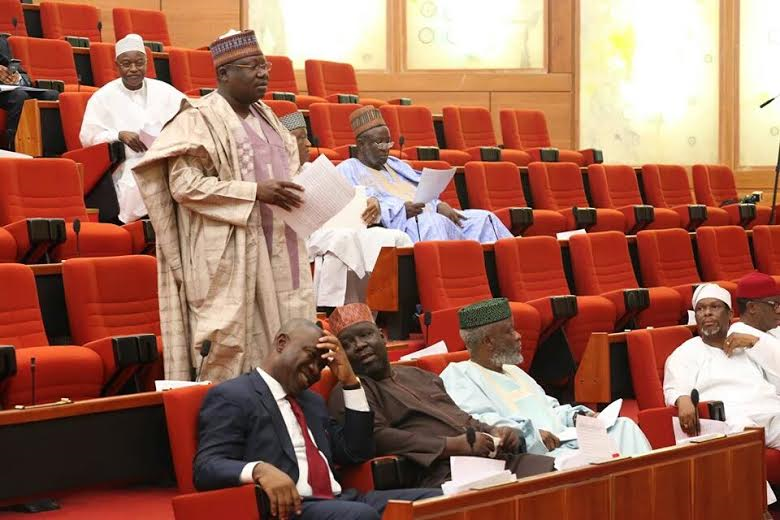 Photos from the Nigerian Senate Plenary today