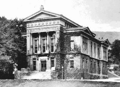 MUSINGS: OBJECT OF THE WEEK: "SARA" THE TRICERATOPS