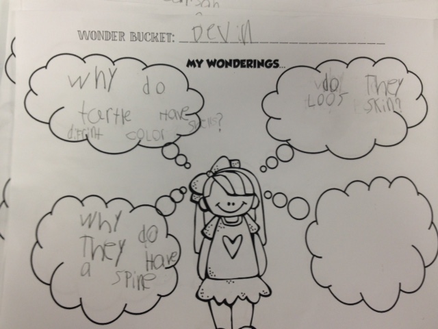 Wonder Bubbles | The Weekly Hive