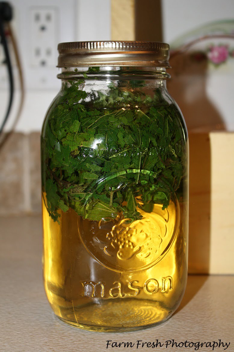 FarmgirlCyn: Stinging Nettle tea