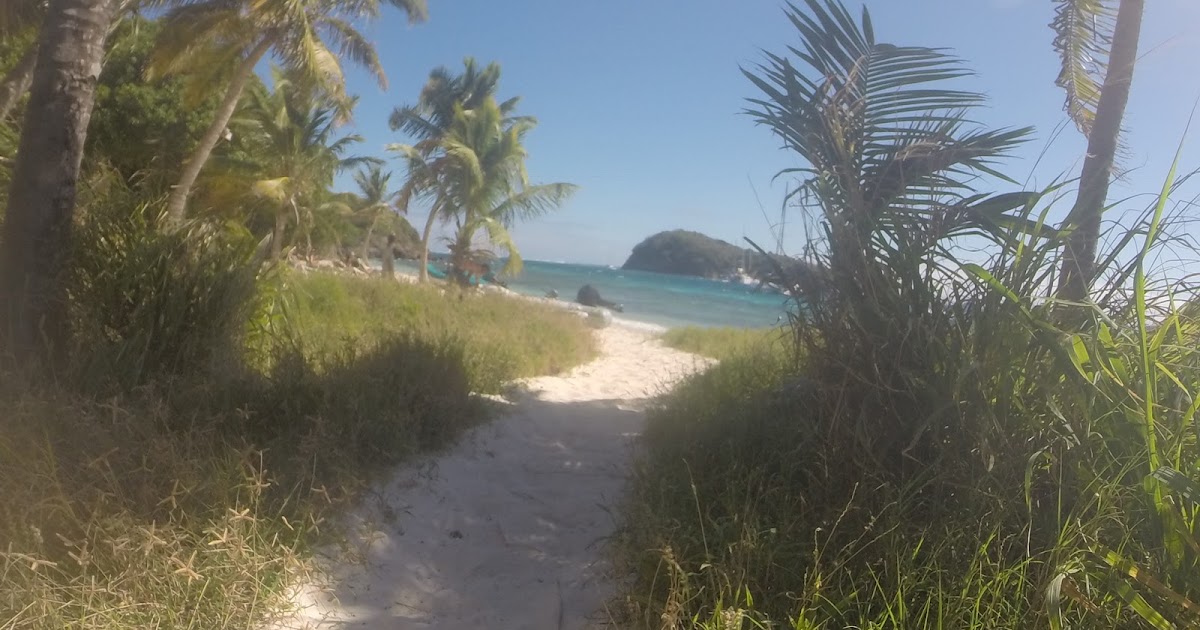 Sailing Rocks!: Tourist time in the Tobago Keys