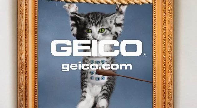 GEICO Portraits Gallery - Where do babies come from?