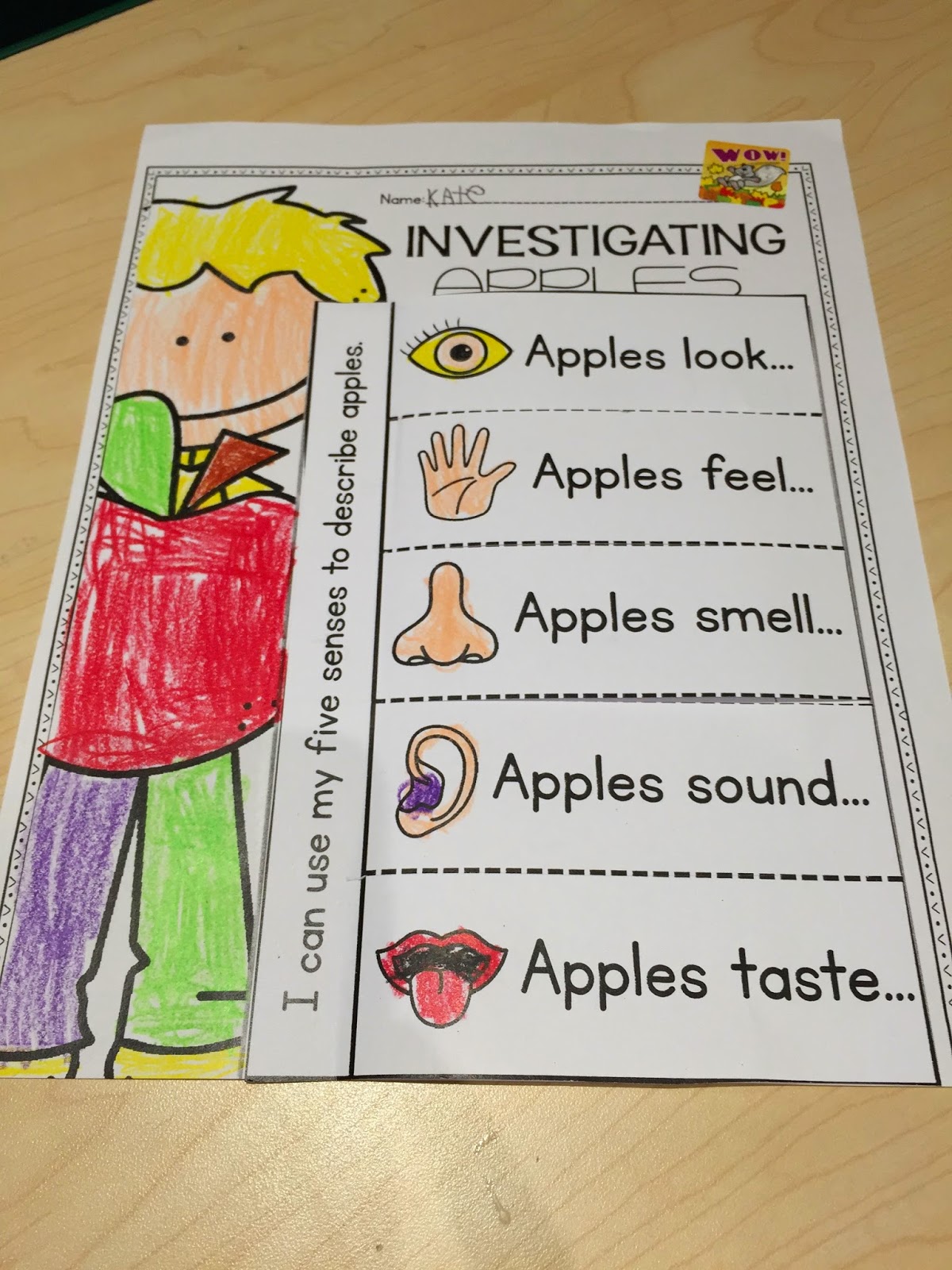 Kindergarten with Ms. Kylie: Science: Using our 5 Senses with APPLES!