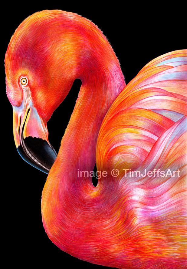 Tim Jeffs Art: Color Drawings