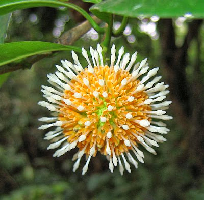 September 2013 - ARUNACHALA LAND