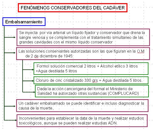Momificación, saponificación, corificación, congelación ...
