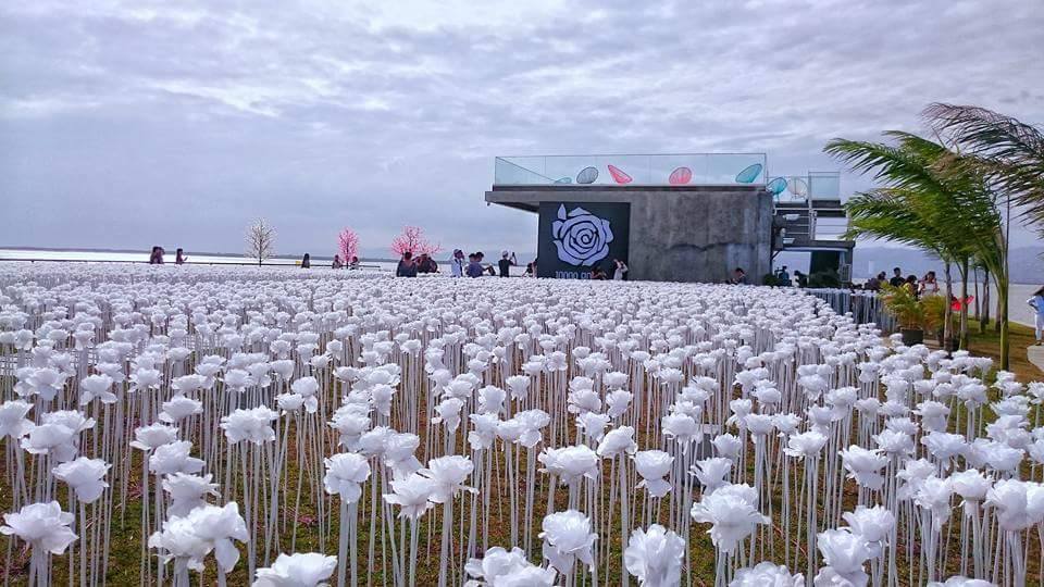 Pinoy Gazette: 10,000 Roses Café, bagong atraksyon sa Cordova, Cebu