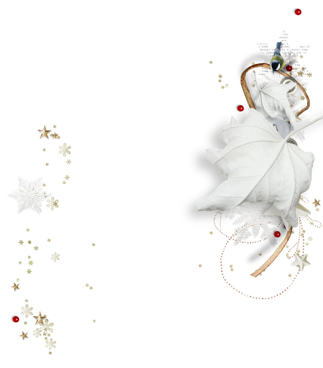 ForgetMeNot: cluster winter