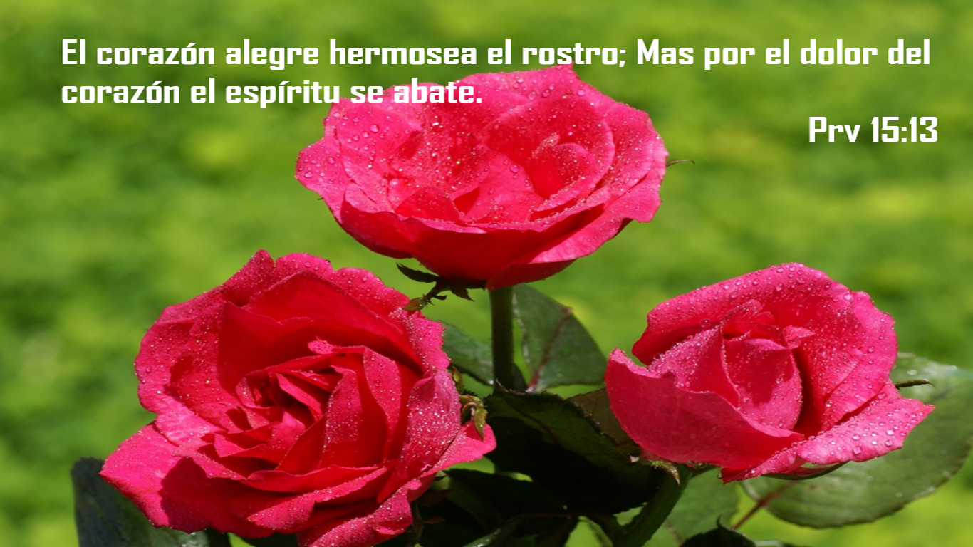 Palabra de Dios: El corazón alegre hermosea el rostro