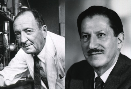 Indignación científica: Un parroquiano poco conocido (I)