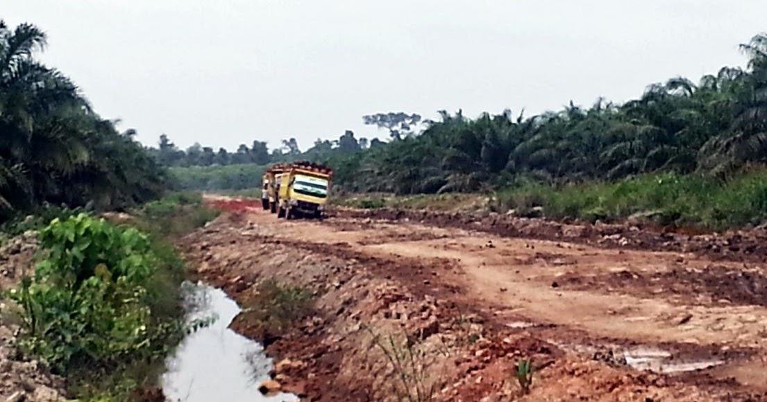 engineering sawit: Perkerasan JaLan Kebun dengan Laterite