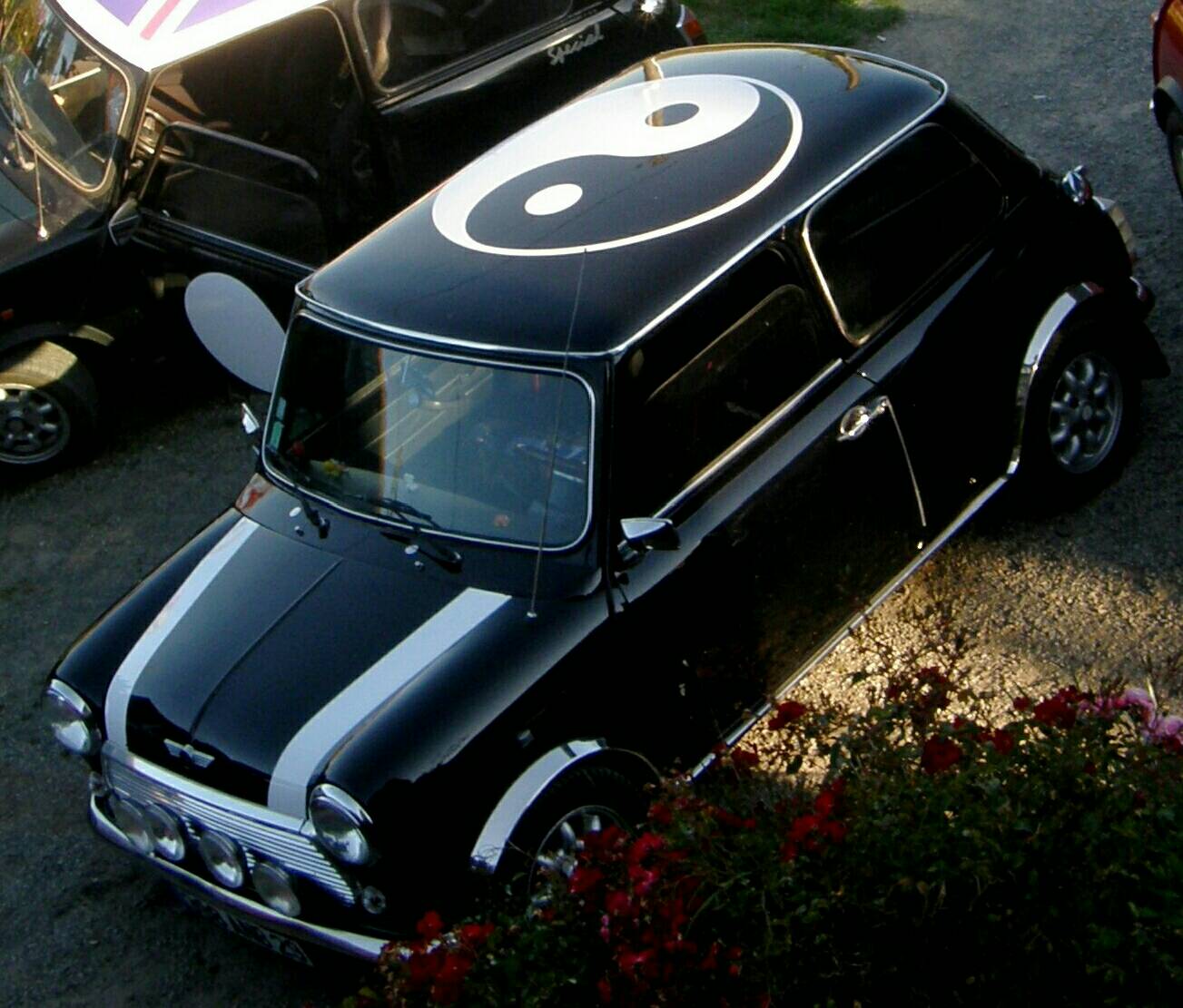 Ginx Craft : Yin Yang Mini