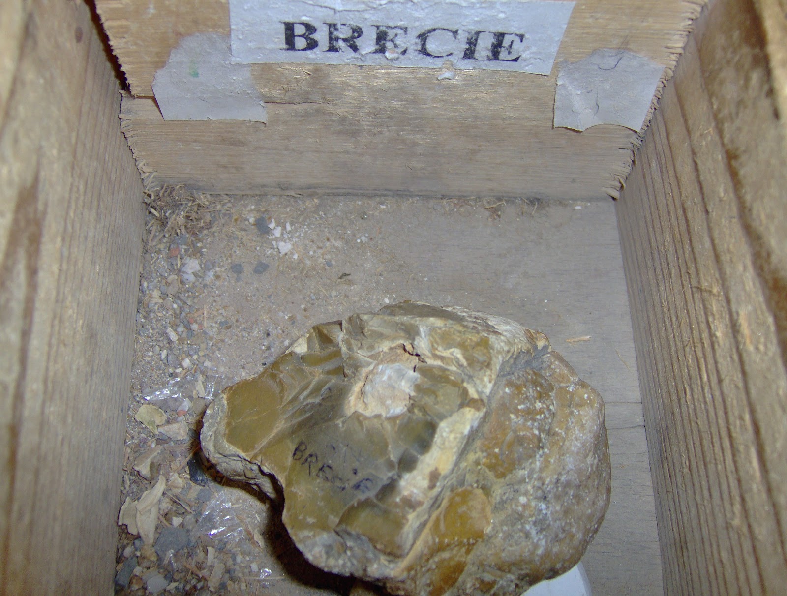 Silvicultura Brasov: Poze geologie ( roci )