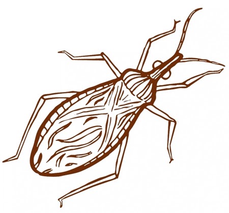 PΛRΛ-SITΛ: Doença de Chagas