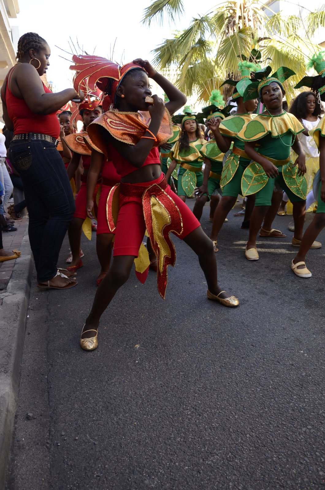 ST MAARTEN CARNIVAL 2014 blogs judith roumou: french st martin carnival ...