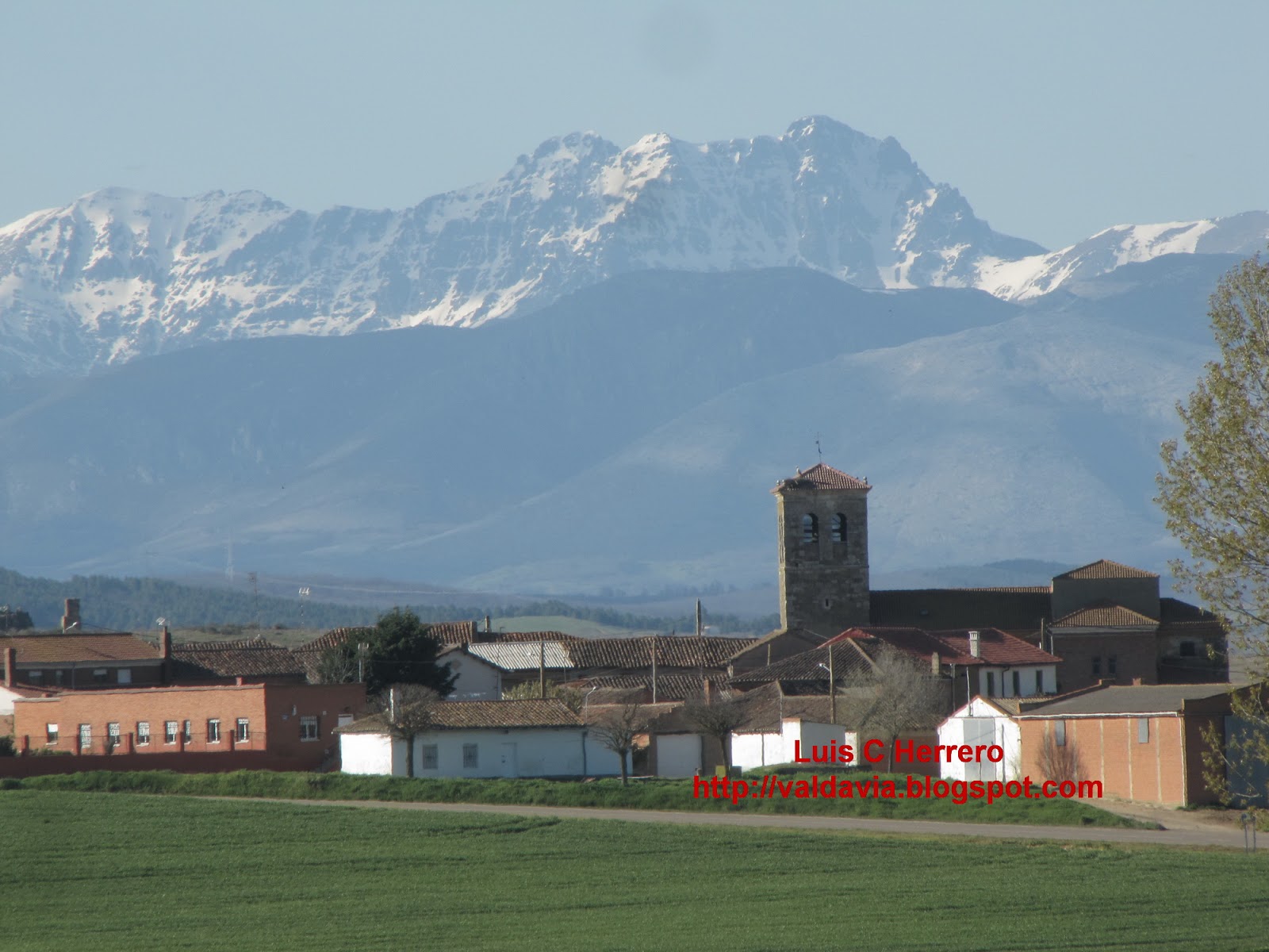 Naturaleza de la Valdavia: SACRE primavera II de 2013