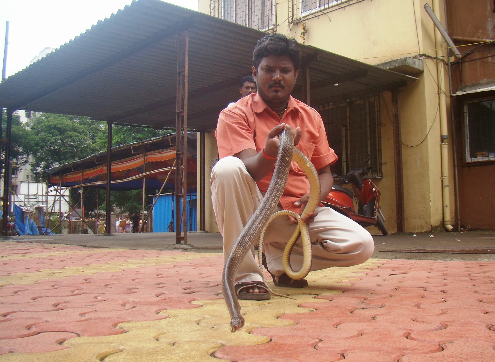 Sunish Subramanian Kunju : Sunish Subramanian Kunju Activities Photographs