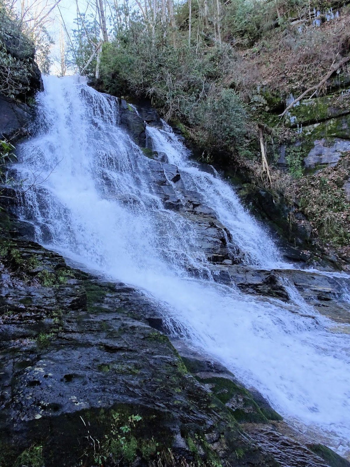 Femme au foyer: Beech Bottom Falls (aka Pinnacle Falls)