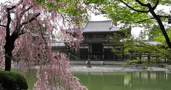 fragmentos da noite com flores: Sakura : A magia da tradição