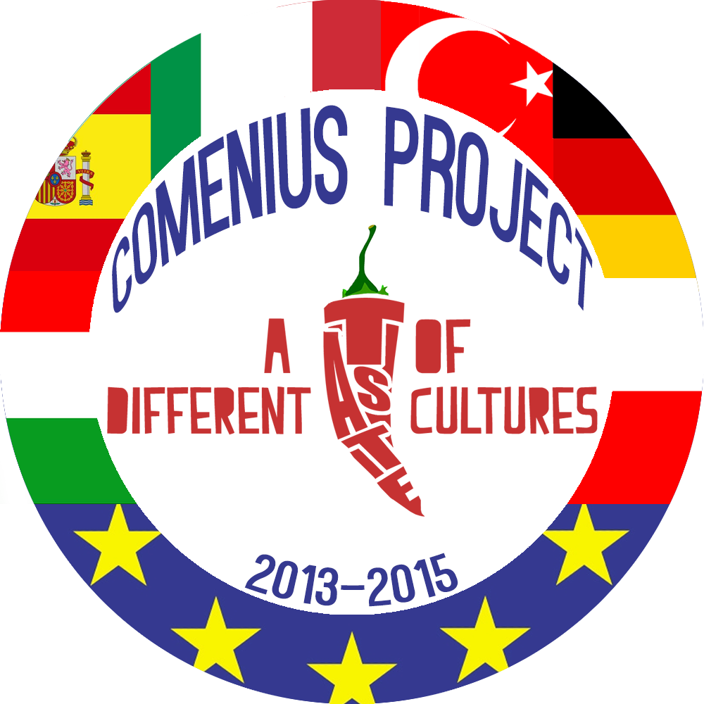 Comenius logo winner! ~ Comenius Kędzierzyn-Koźle