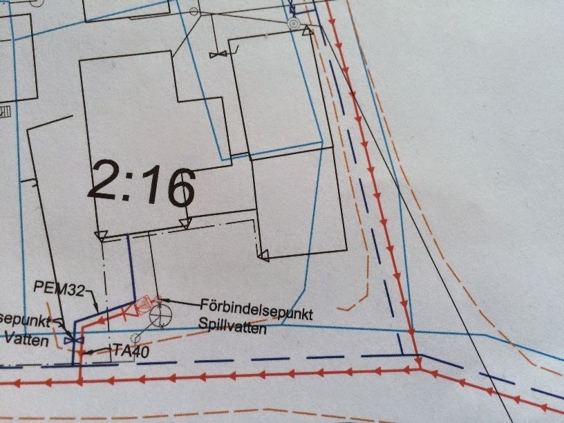 Carolina lever...: Och jag som satte så många nya lökar i höstas...?!