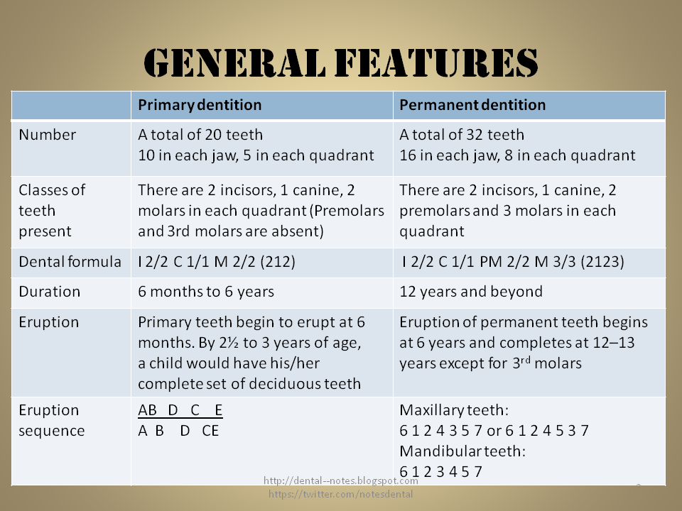 Dental Notes: Differences between Primary and Permanent teeth NOTES (New) Dental Notes: Differences between Primary and Permanent teeth NOTES (New)