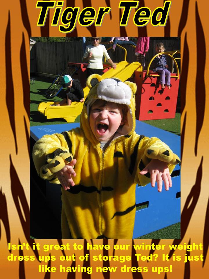 Sunnynook Preschool : Tiger Ted