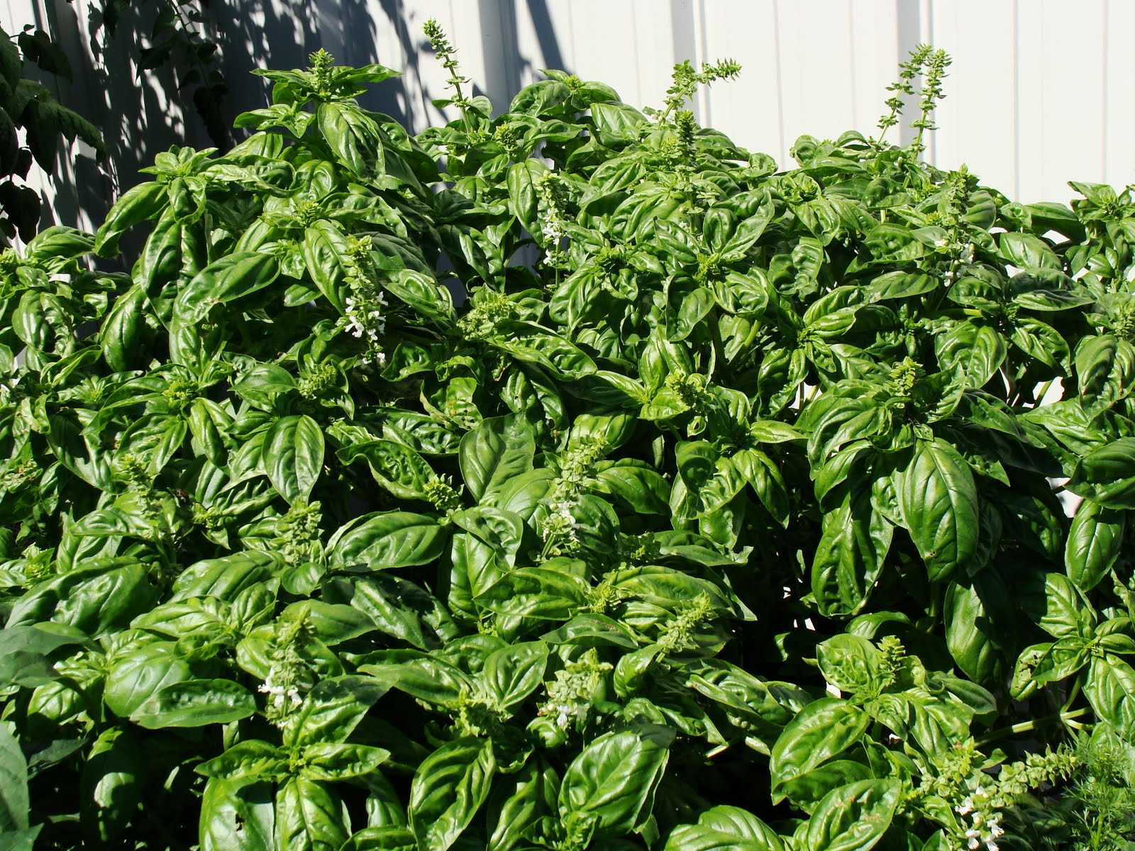 Village Links of Glen Ellyn Grounds Department
