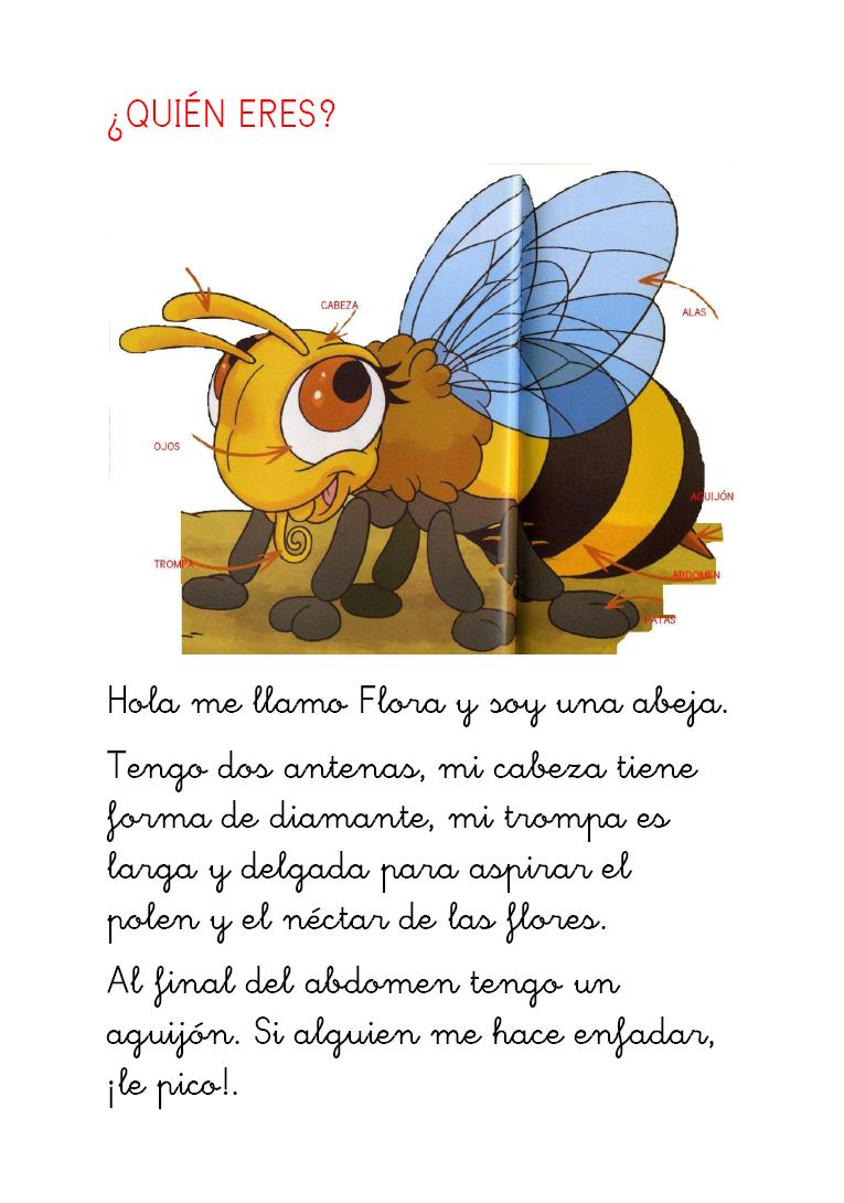 RECURSOS y ACTIVIDADES para Educación Infantil: Libro de las ABEJAS
