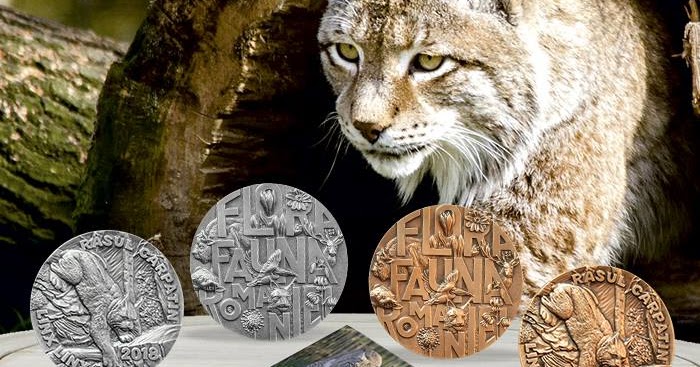 Ştiinţă pentru toţi: Medalia românească: Râsul carpatin (Linxul ...