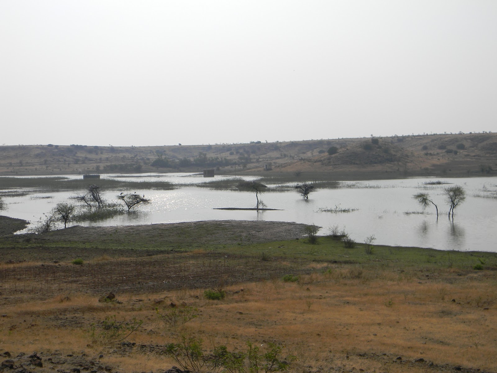 Balewadi,Taluka atpadi,Dist Sangli, Maharashtra, India: Snaps