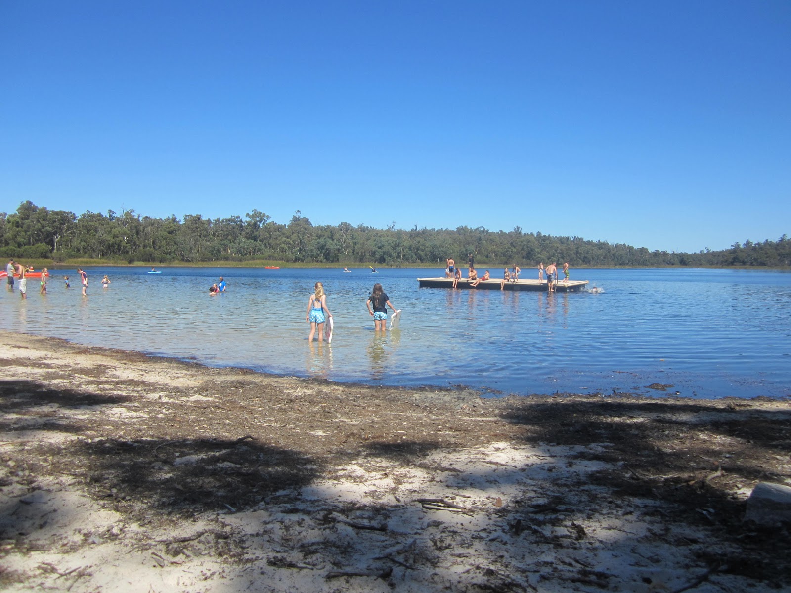 All things bright and beautiful: Lake Leschenaultia