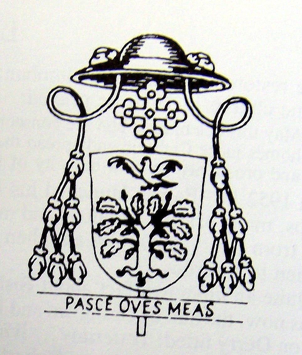 Irish Heraldry: Derry Ecclesiastical Heraldry - Bishop Edward Daly