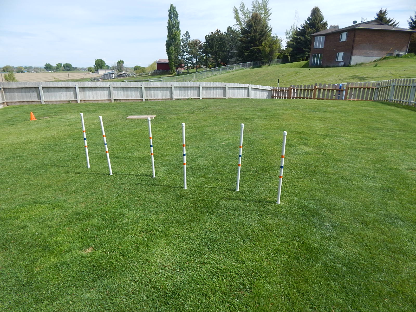 Idaho PugRanch: Learning Weave Poles