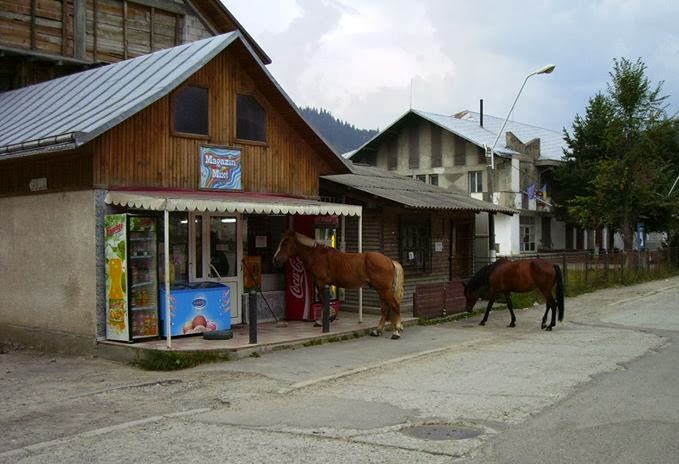 Fotografiile zilei - ORASUL BROSTENI