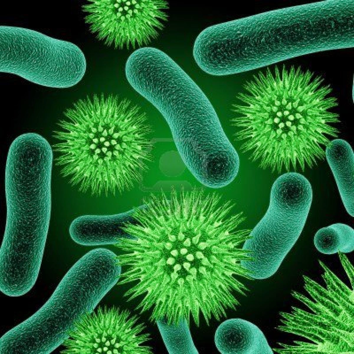 Bacteriën: Wat zijn bacteriën?