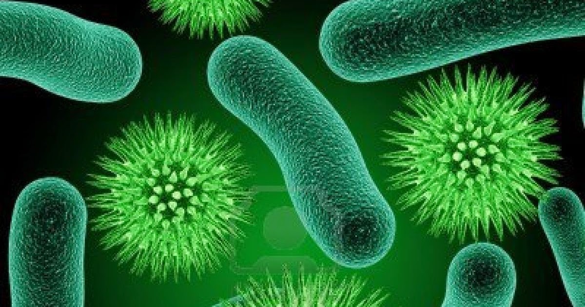 Bacteriën: Wat zijn bacteriën?