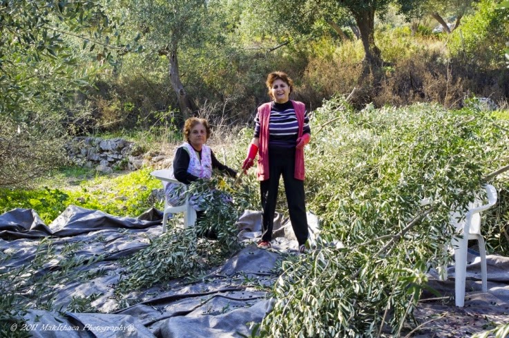 ΚΡΗΤΙΚΟ ΕΛΑΙΟΛΑΔΟ ΗΡΑΚΛΕΙΟΥ