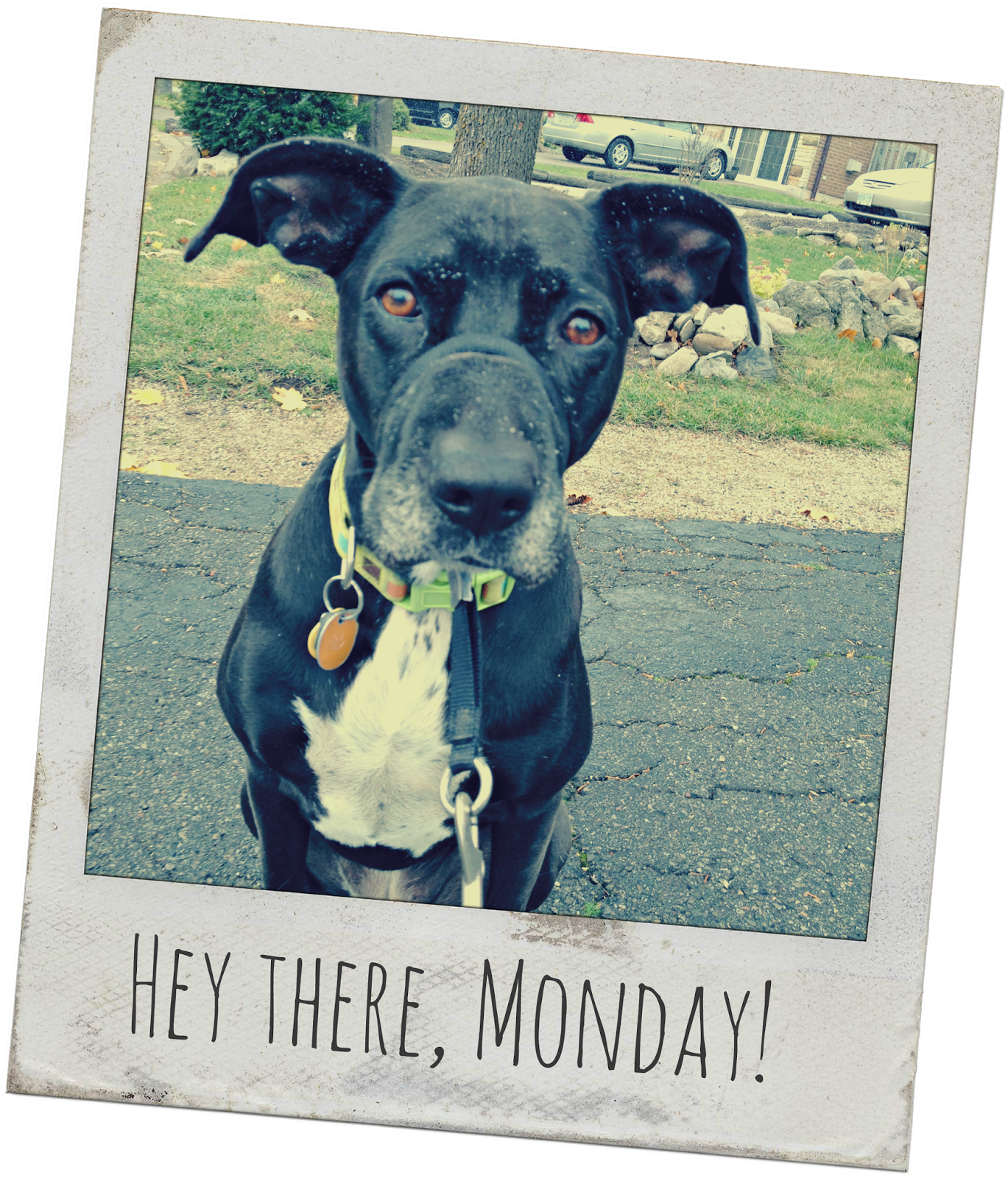 {Erin Out and About}: Hey There, Monday!