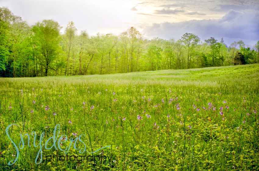 Snyders Photography Blog - Hartwell, Georgia Lifestyle Photography ...