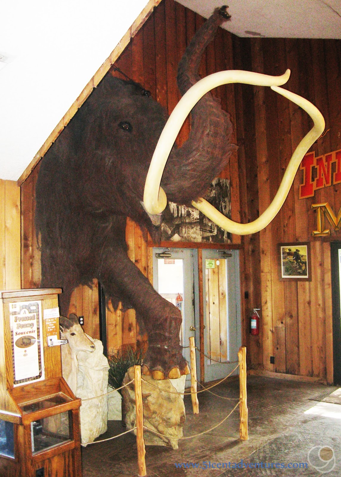 51 Cent Adventures: Inner Space Cavern - Georgetown, Texas