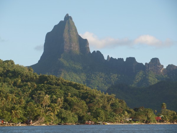 Lazarina des Océans: Retour à Moorea (Avril 2011)
