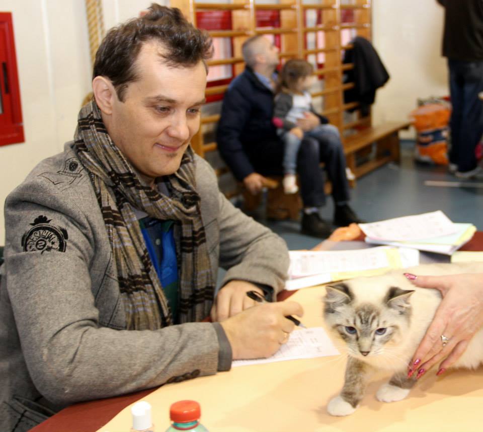 Sabra-Cat - Israeli FIFe Cat Association: Gallery : 11 - 01 - 2014 ...