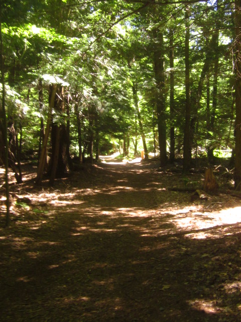 Plants Amaze Me: Muskegon State Park, Lost Lake