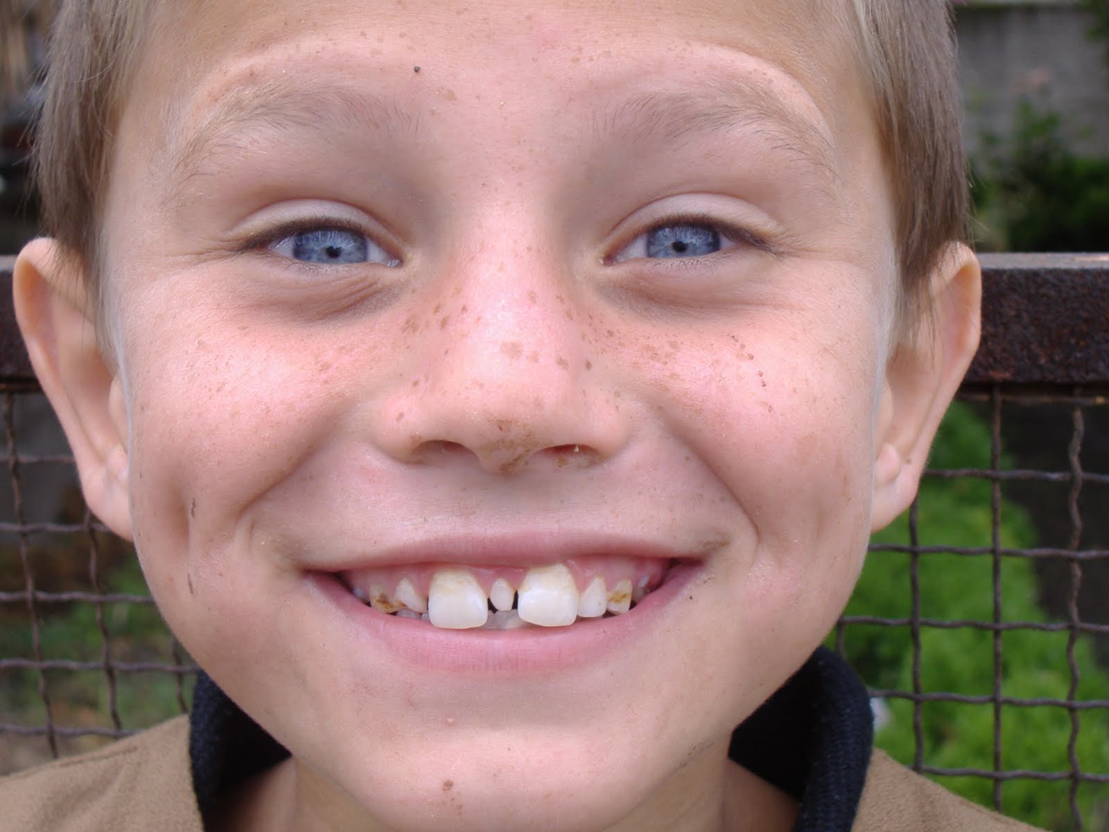 hayatta kalanlar kulübü