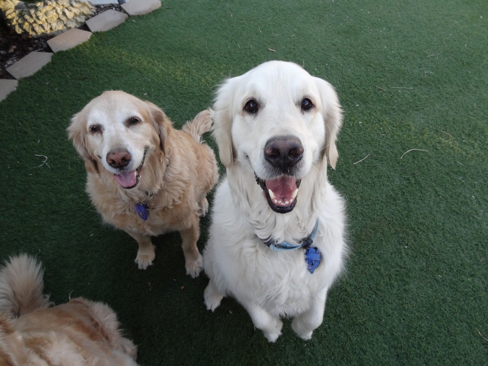 random ramblings: Hiddy-Ho Good Neighbor